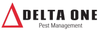 Pest Control Dallas – Delta One Pest
